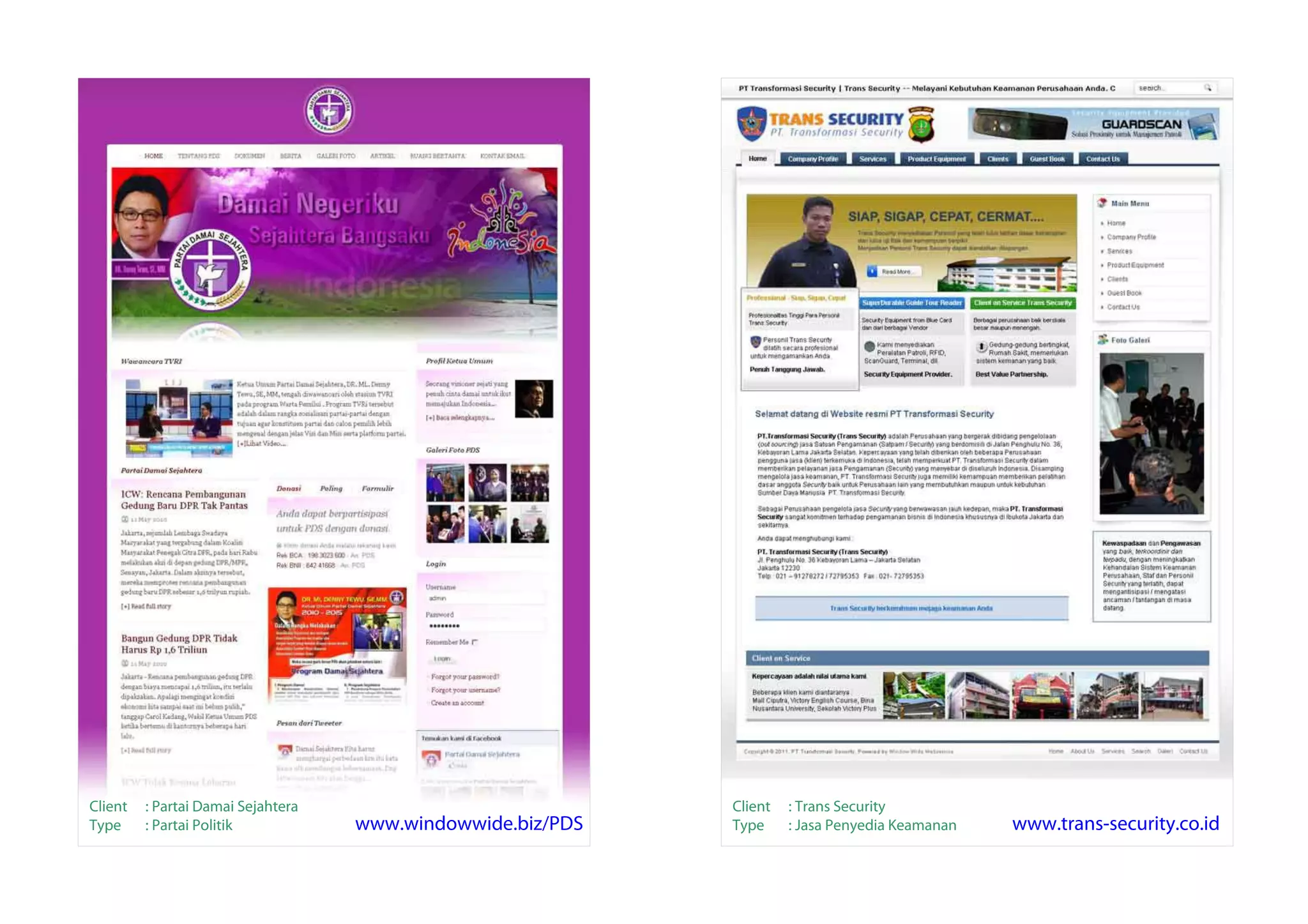 Portfolio Window Wide Webs | PDF