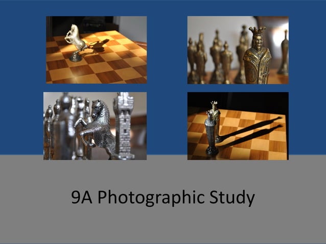 Portfolio - Parker Sims | PDF