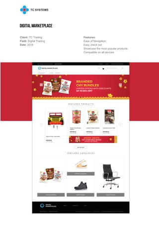 Tc Systems Portfolio 2 | PDF