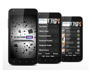 Vasile Tiplea Portfolio | PDF