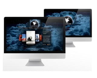 Vasile Tiplea Portfolio | PDF