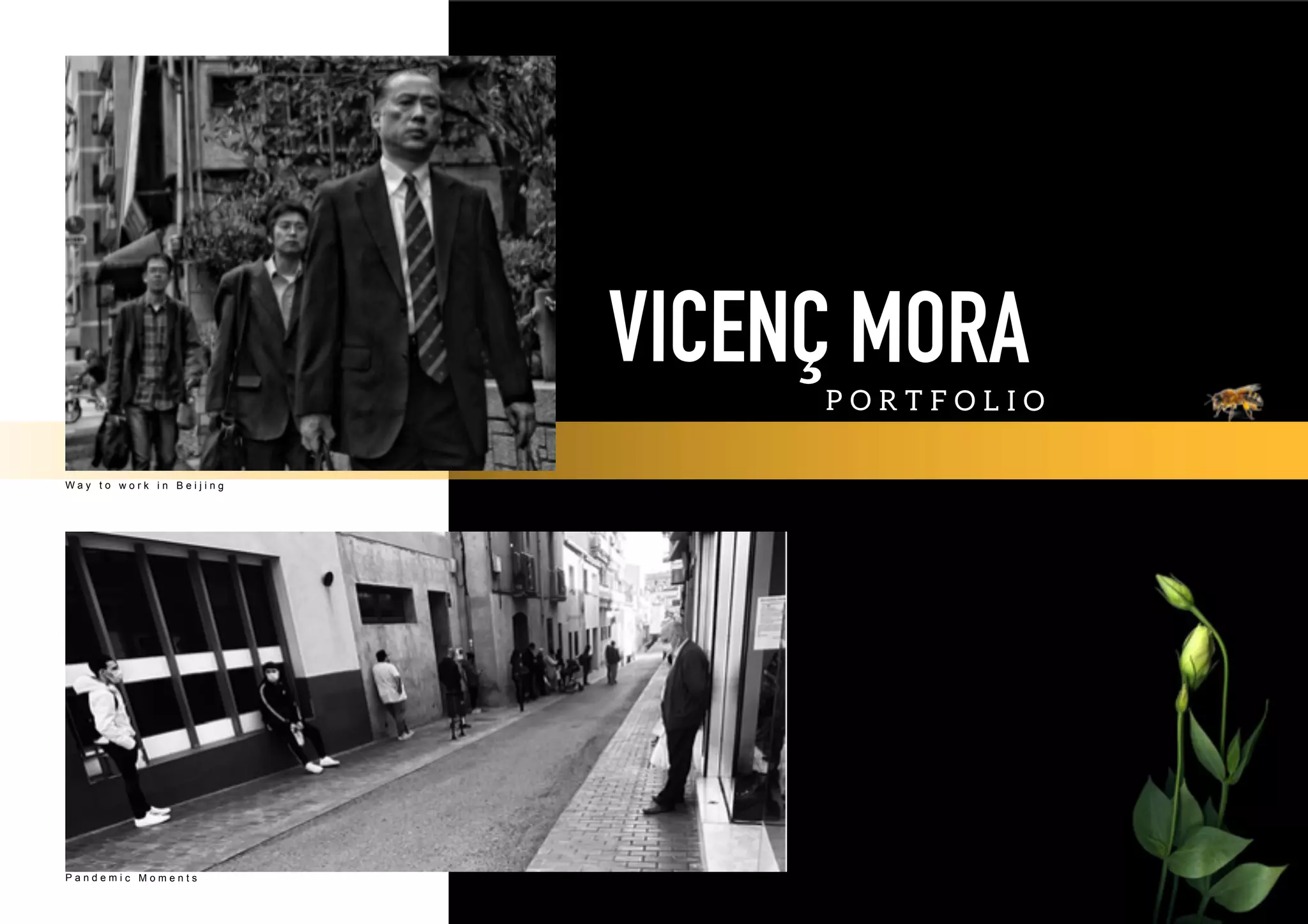 Portfolio Fotografia | PPT