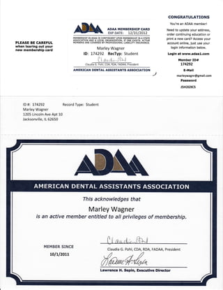 Portfolio adaa | PDF