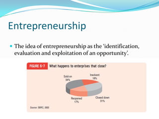 Portfolio entrepreneurship | PPTX