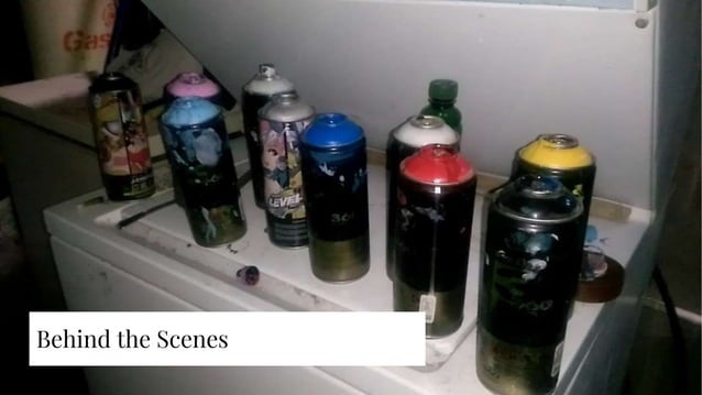 Portfolio Extended | PPT