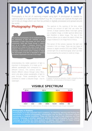 Portfolio Final.pdf