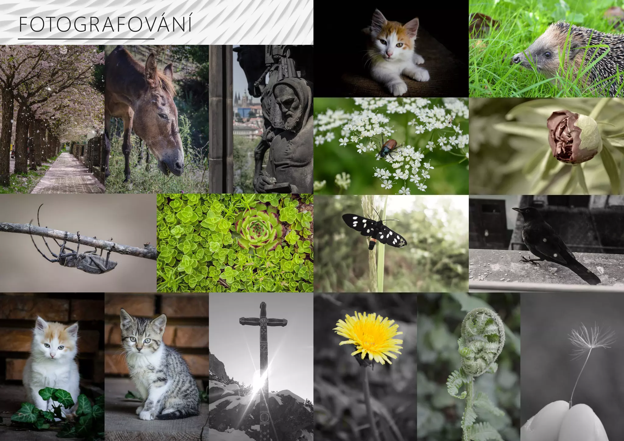 Portfolio - Ing. arch. Jakub Sysel | PDF