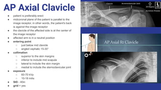 Portfolio_Lab Test #2 .pdf