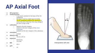 Portfolio_Lab Test #2 .pdf