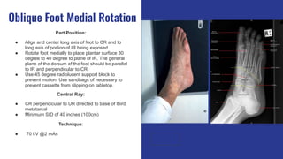 Portfolio_Lab Test #2 .pdf