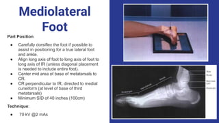 Portfolio_Lab Test #2 .pdf