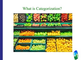 Portfolio Management Categorization Optimization and Re-calibration | PPT