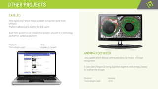 Bitcraft - Portfolio | PDF | Web Development | Internet