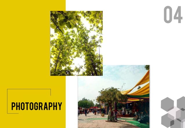 Portfolio_Nitika Anand.pdf