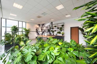 Interior Design - Showroom Perfect Plant Deal | PDF