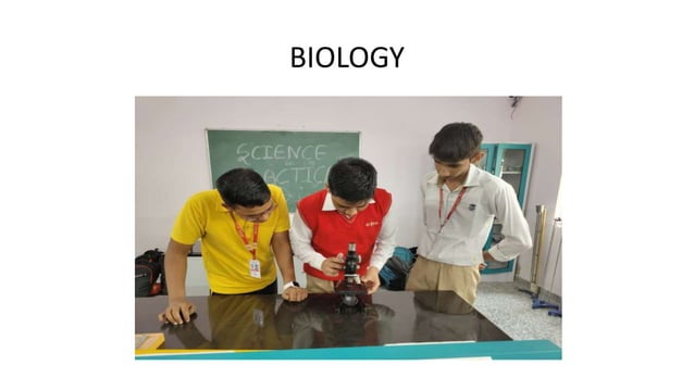 PORTFOLIO SCIENCE.pptx for science Holiday Homework | PPTX | Chemistry ...