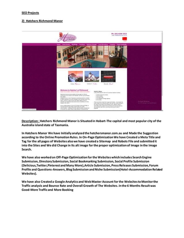 SEO Portfolio | DOCX