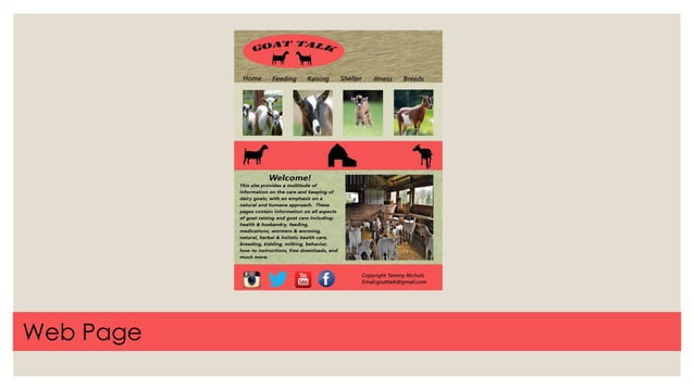 Design Portfolio of Tammy Nichols | PDF