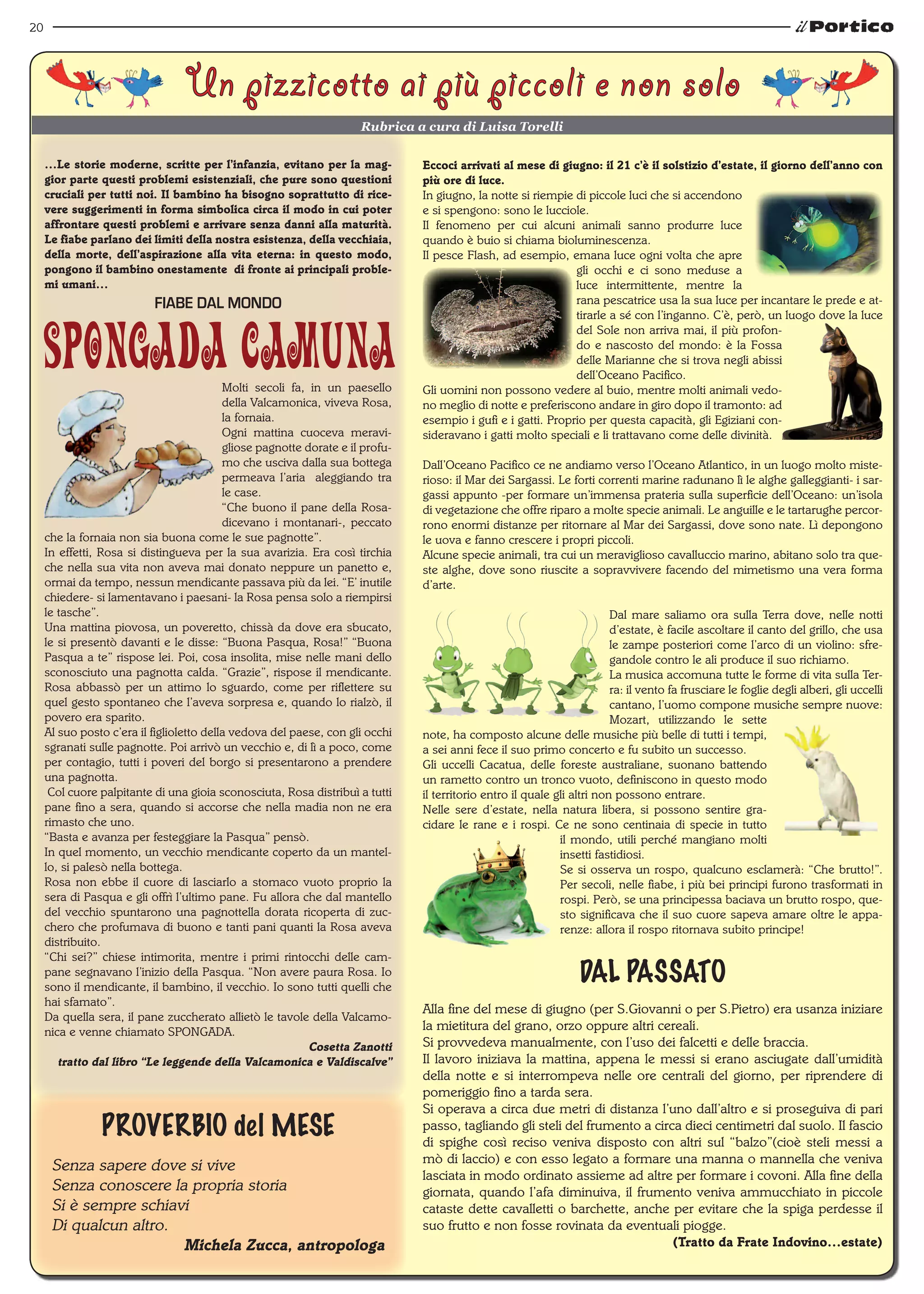 il Portico 312 giugno 2014 | PDF