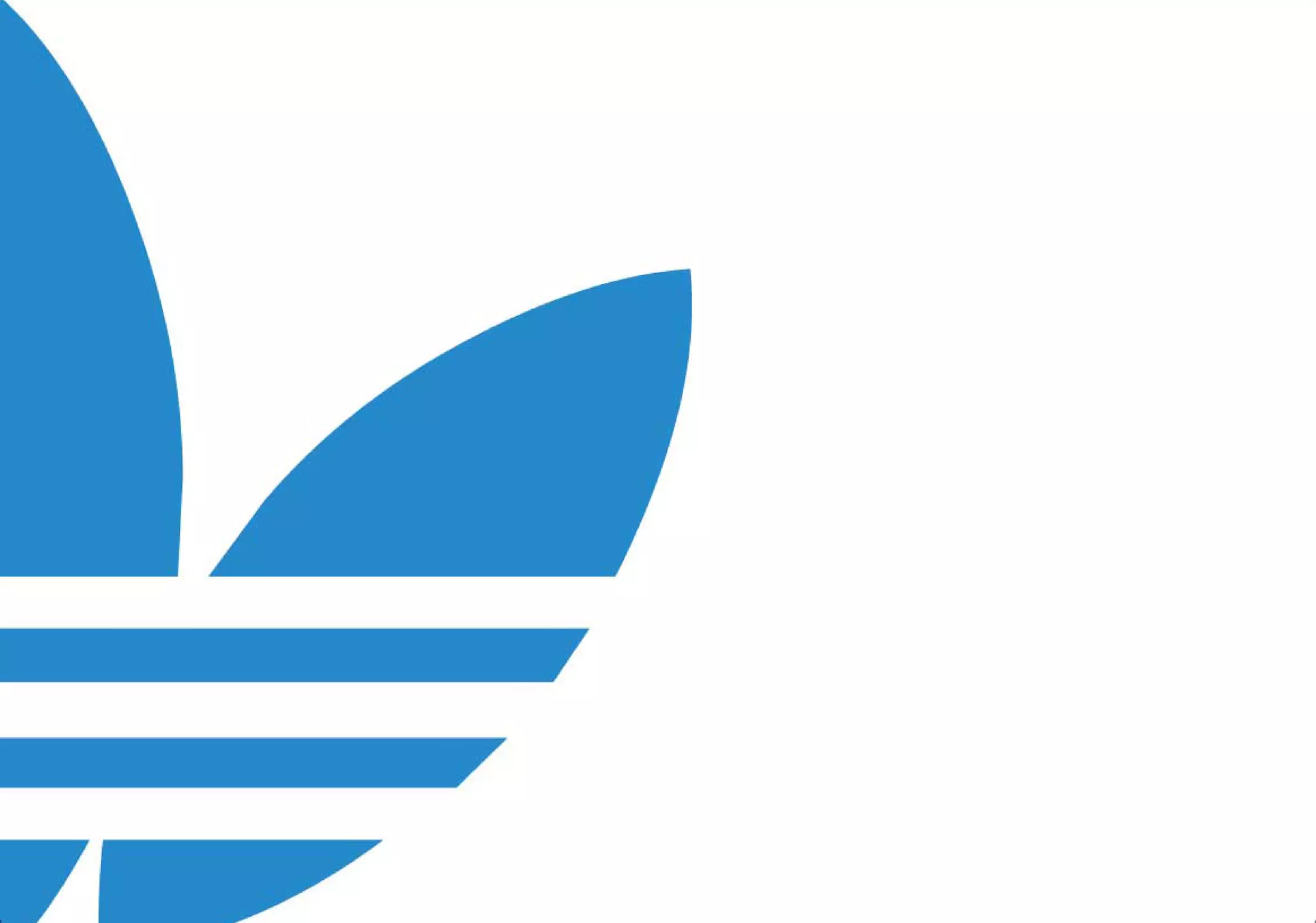 Portfólio Adidas Originals | PDF