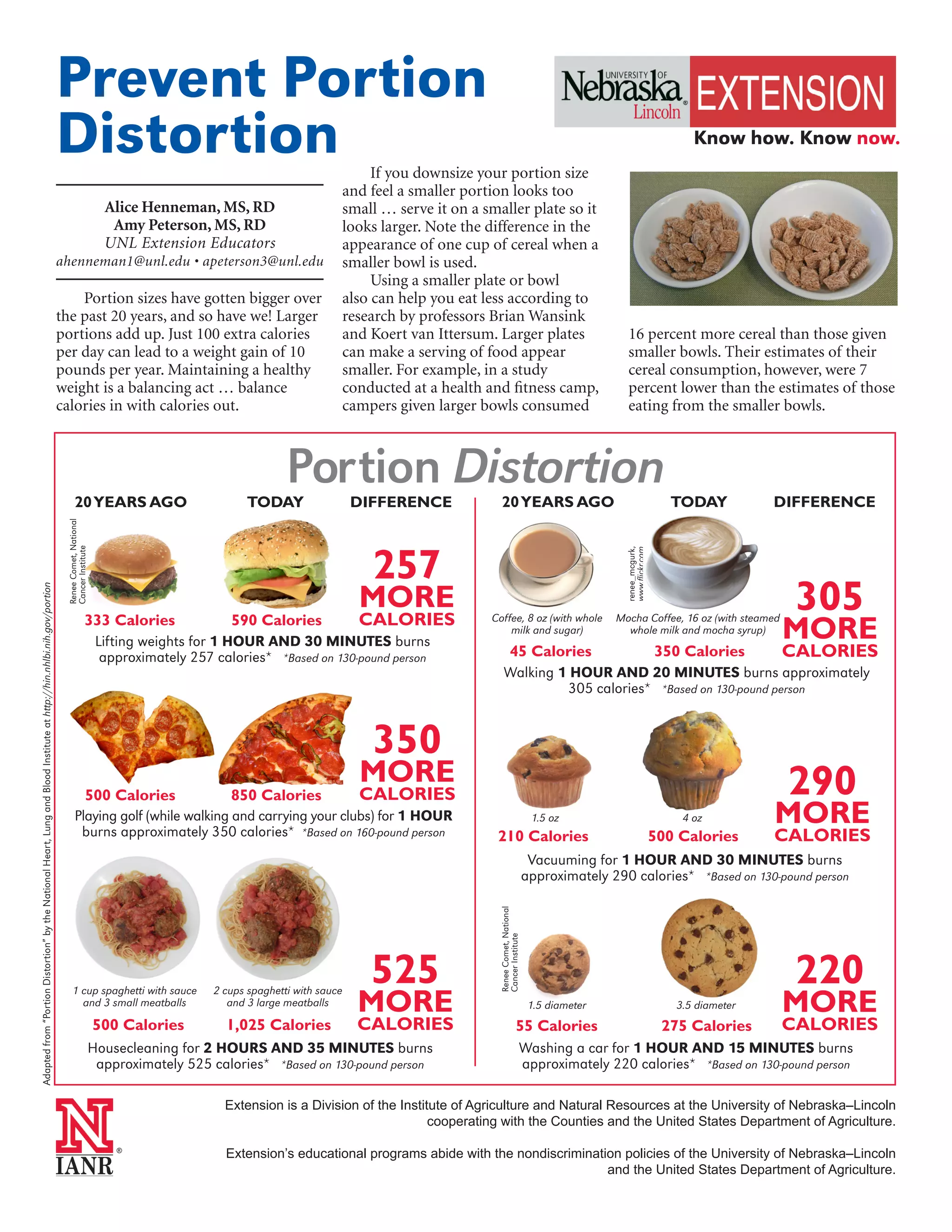 Prevent Portion Distortion Handout | PDF