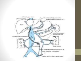 Portocaval anastamosis | PPTX