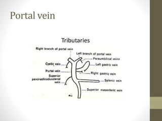 Portocaval anastamosis | PPTX
