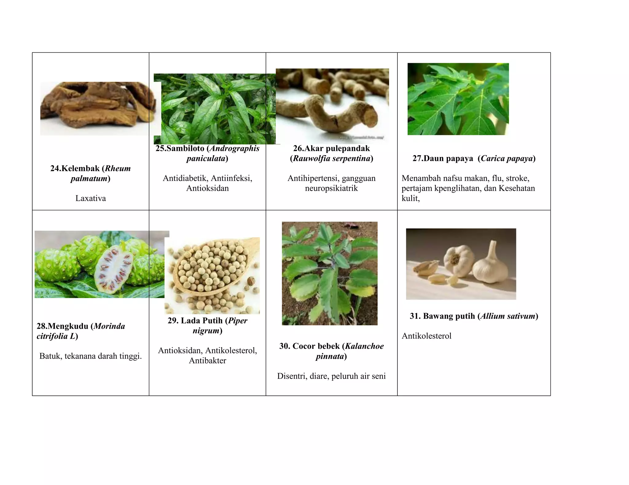 Portofolio 50 tanaman simplisia_FRANDY.docx