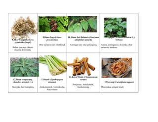 Portofolio 50 tanaman simplisia_FRANDY.docx