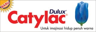 Dulux Catylac | PPT