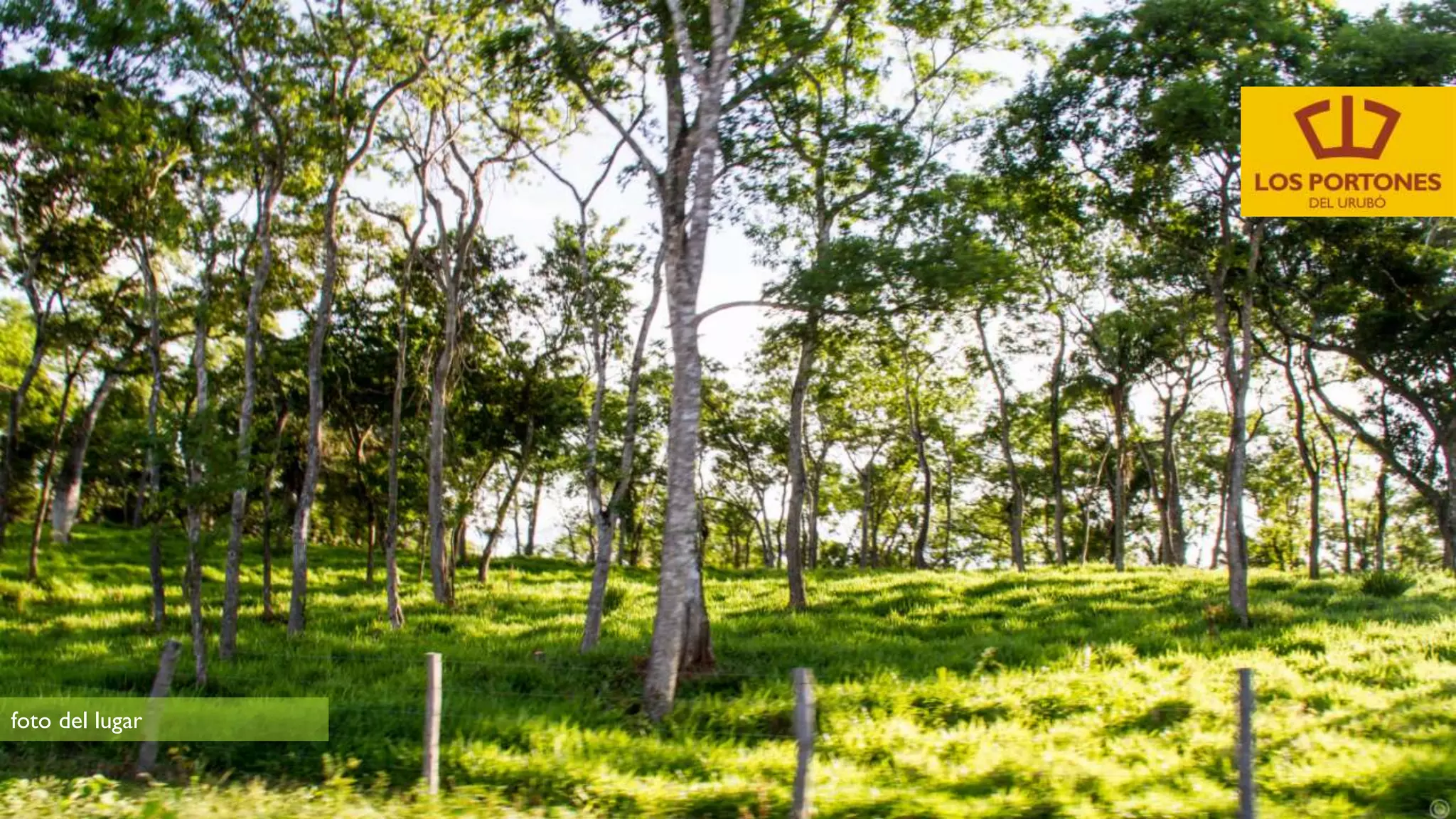 Portones del urubo - Santa Cruz de la Sierra | PDF