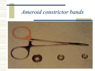 Portosystemic shunt | PPT