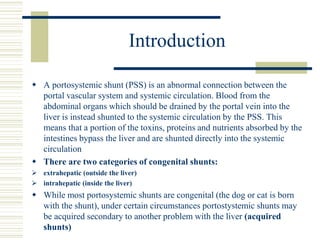 Portosystemic shunt | PPT