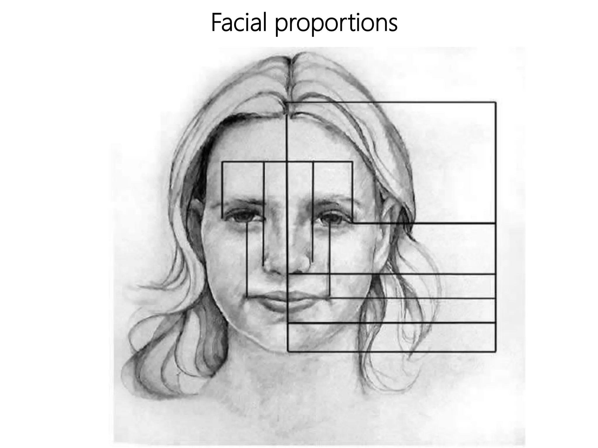 Portrait: proportions and expressive resources | PPTX