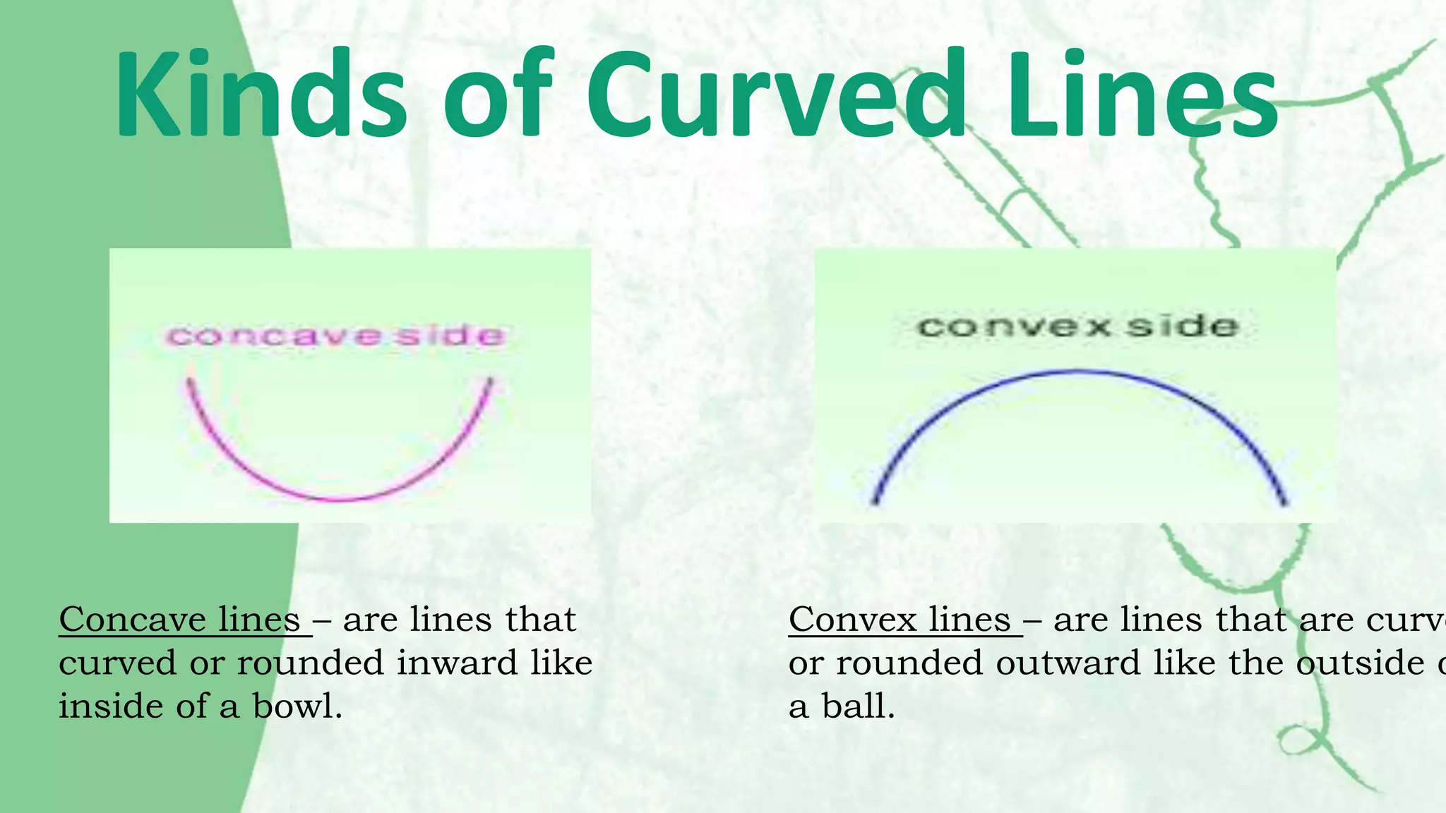 Lesson 2: Portrait drawing | PPTX