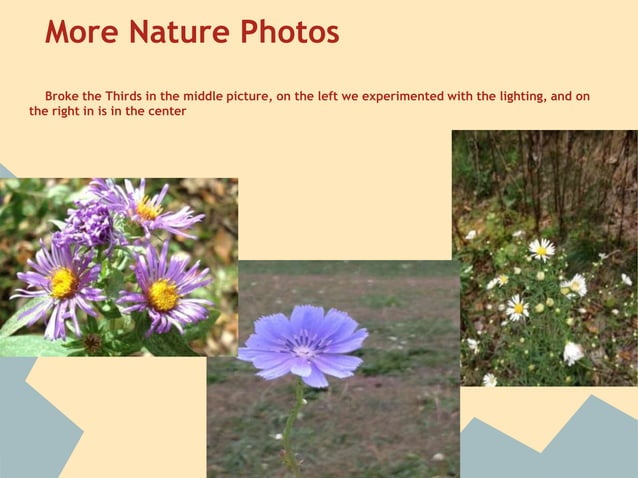 Portraits | PPT | Free Download