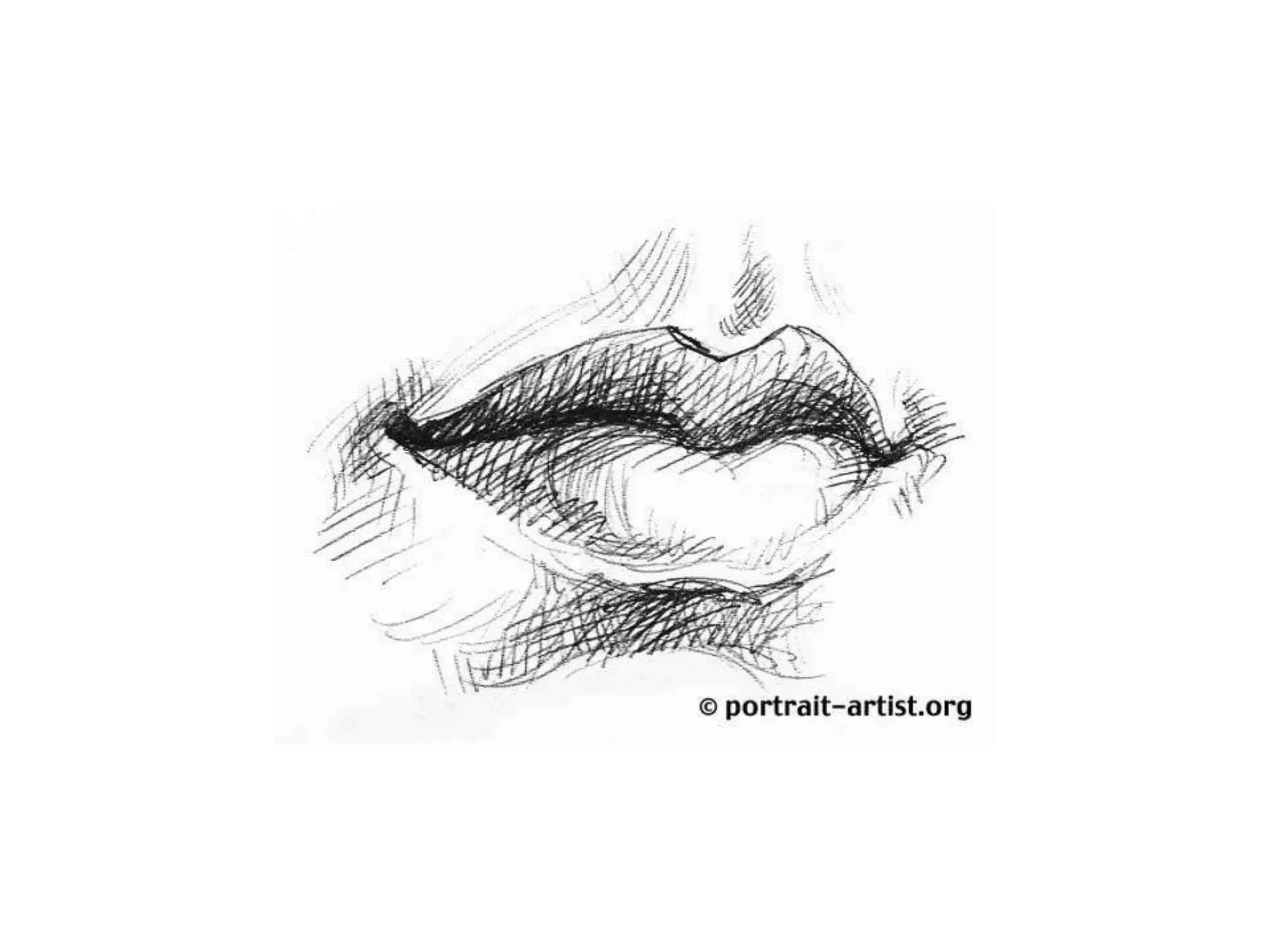 Drawing - Portraits | PPTX