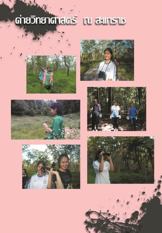 Portview | PDF