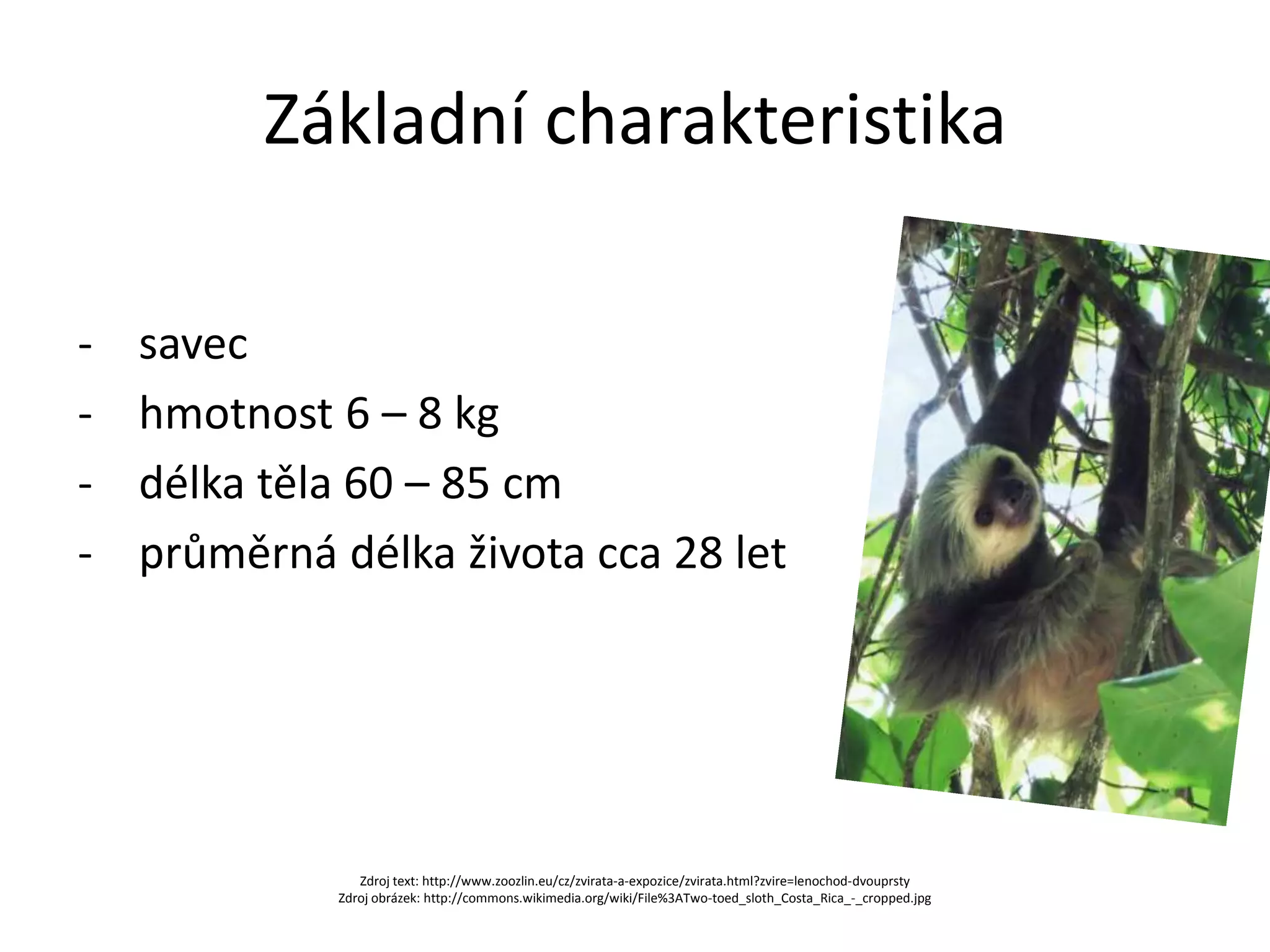 Porybny ivo -_400050_prezentace_informaci | PPTX