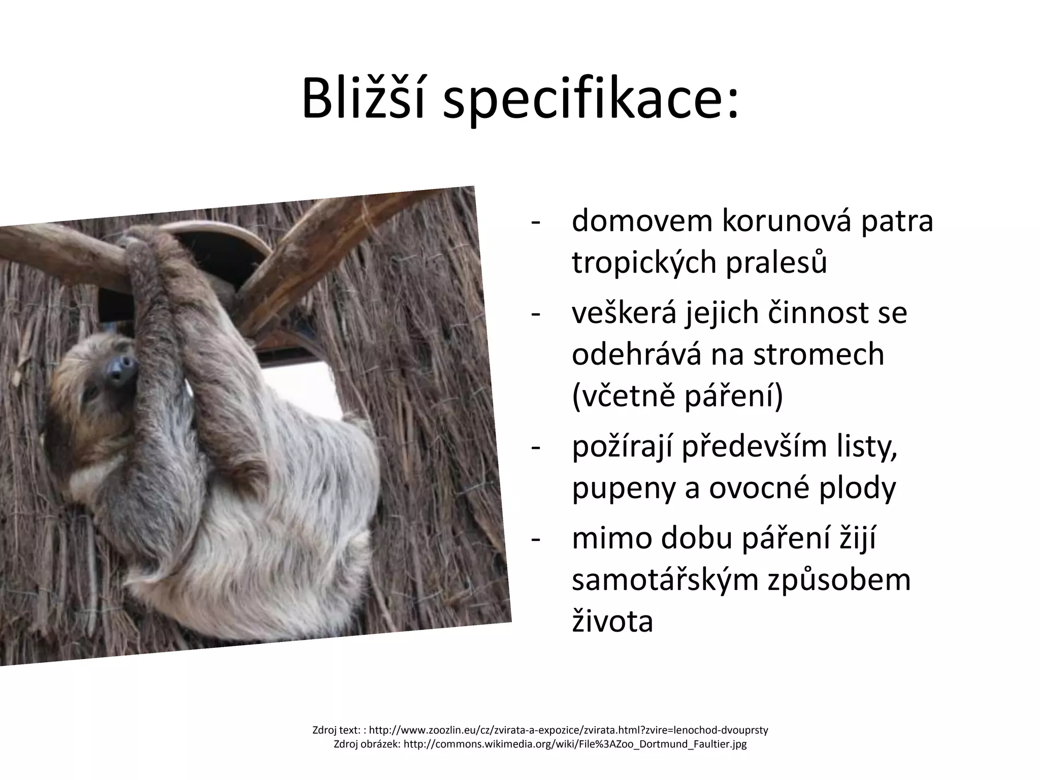 Porybny ivo -_400050_prezentace_informaci | PPTX