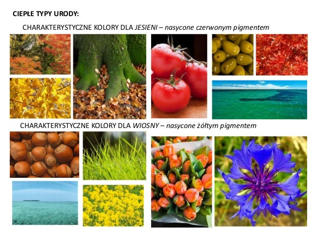 Pory roku zdjecia kobiet i pejzaży