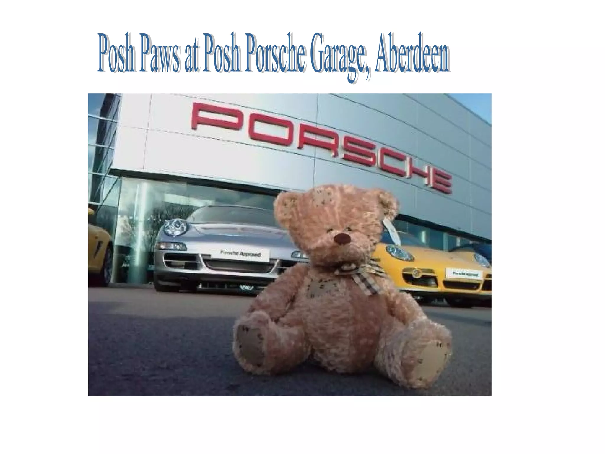 Posh Pows With Logan | PPT