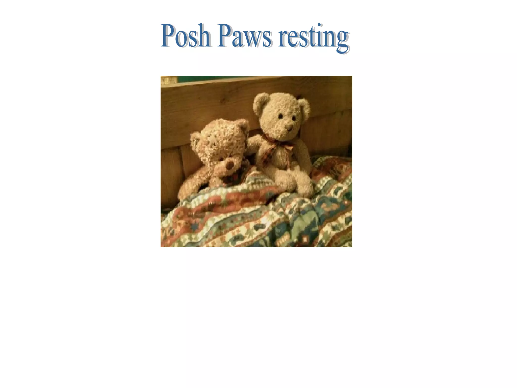 Posh Pows With Logan | PPT
