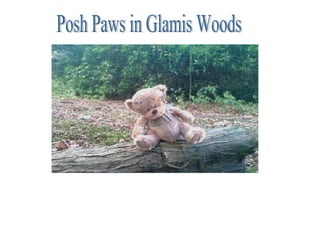 Posh Pows With Logan | PPT