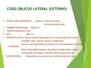 Posic.radiograf codo y_humero | PPT