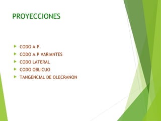Posic.radiograf codo y_humero | PPT