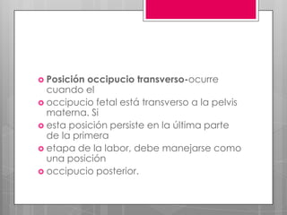 Posición anormal del feto | PPTX