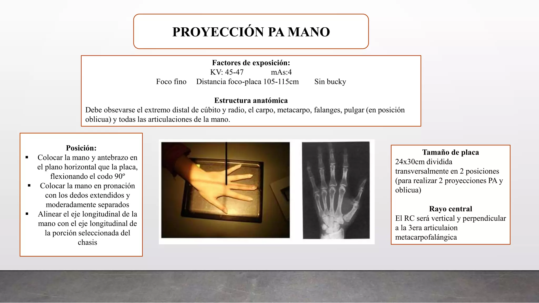 Posición del Segundo al quinto dedo, primer.pptx