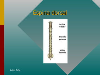 Posicion sedente | PPT