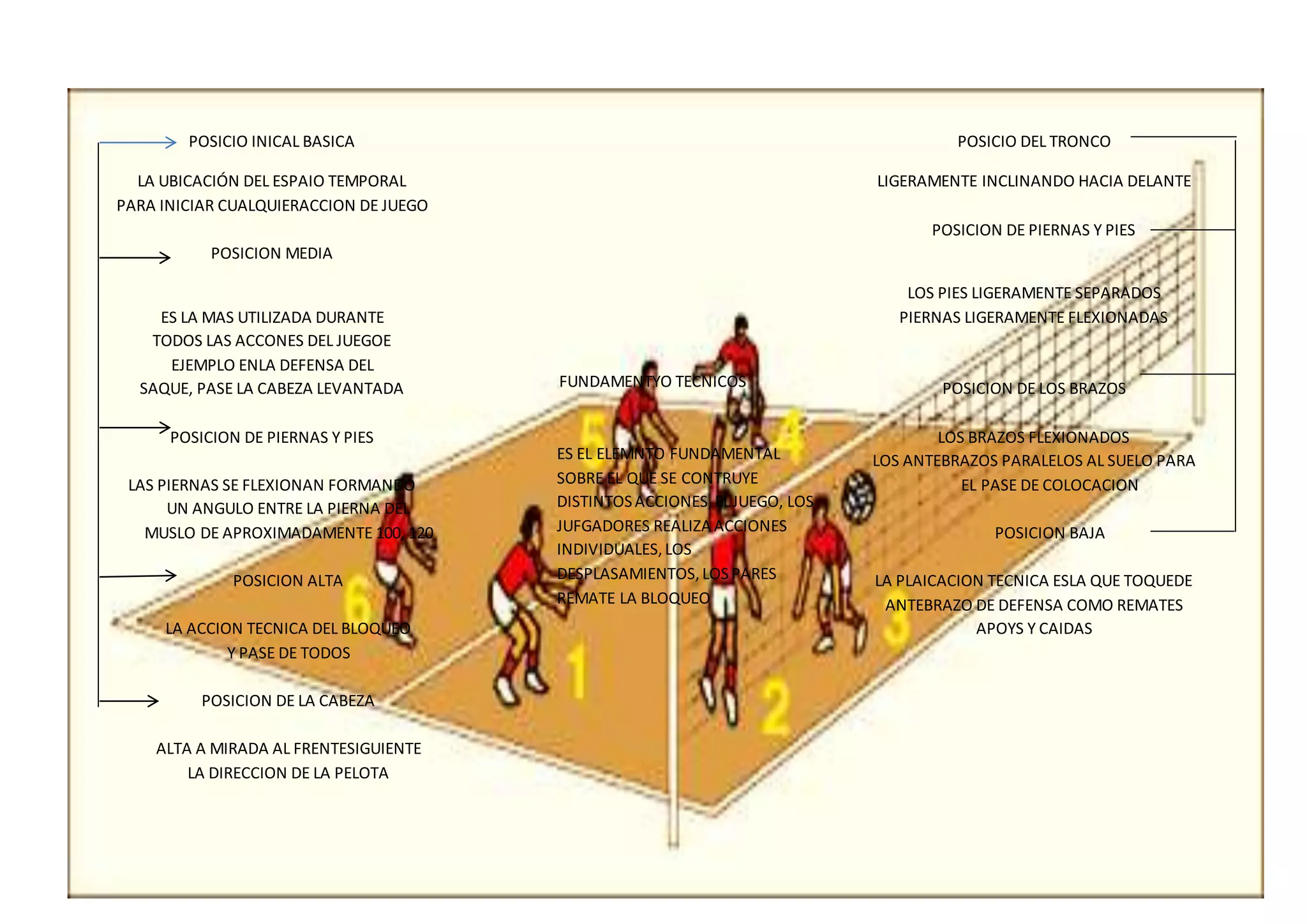 POSICION INICIAL BASICA | DOCX